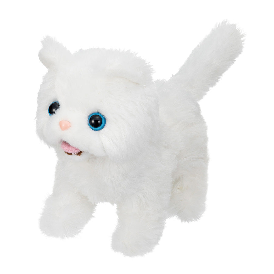 Mèo con - Baby Persian IWAYA 3303-2VN-JS